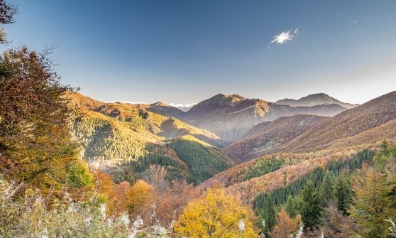 Piemonte, un foliage a caccia del tartufo bianco - la Repubblica