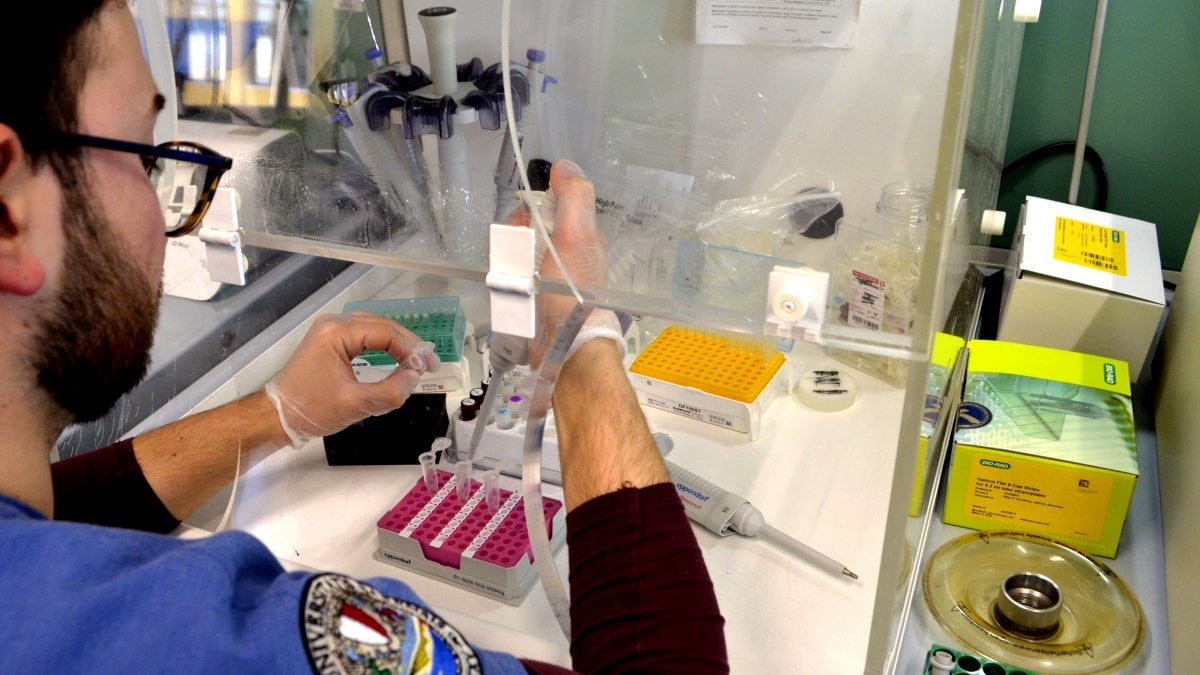 Coronavirus, "caccia" al farmaco che ferma il virus - la Repubblica
