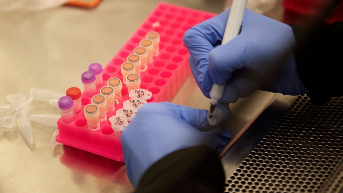 Coronavirus, studio Usa: "Numero dei contagi nel mondo molto più alto ...