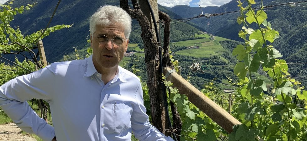 Con Stephan Filippi a Cantina Bolzano: una squadra di 224 soci - la ...