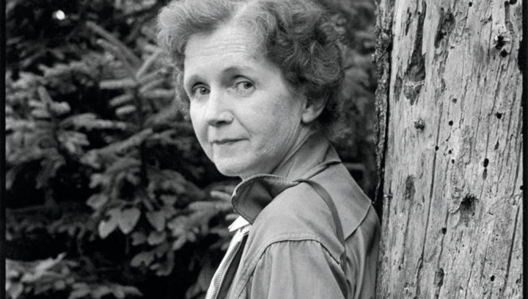 Rachel Carson, ovvero l'ecologia spiegata ai ragazzi - la Repubblica