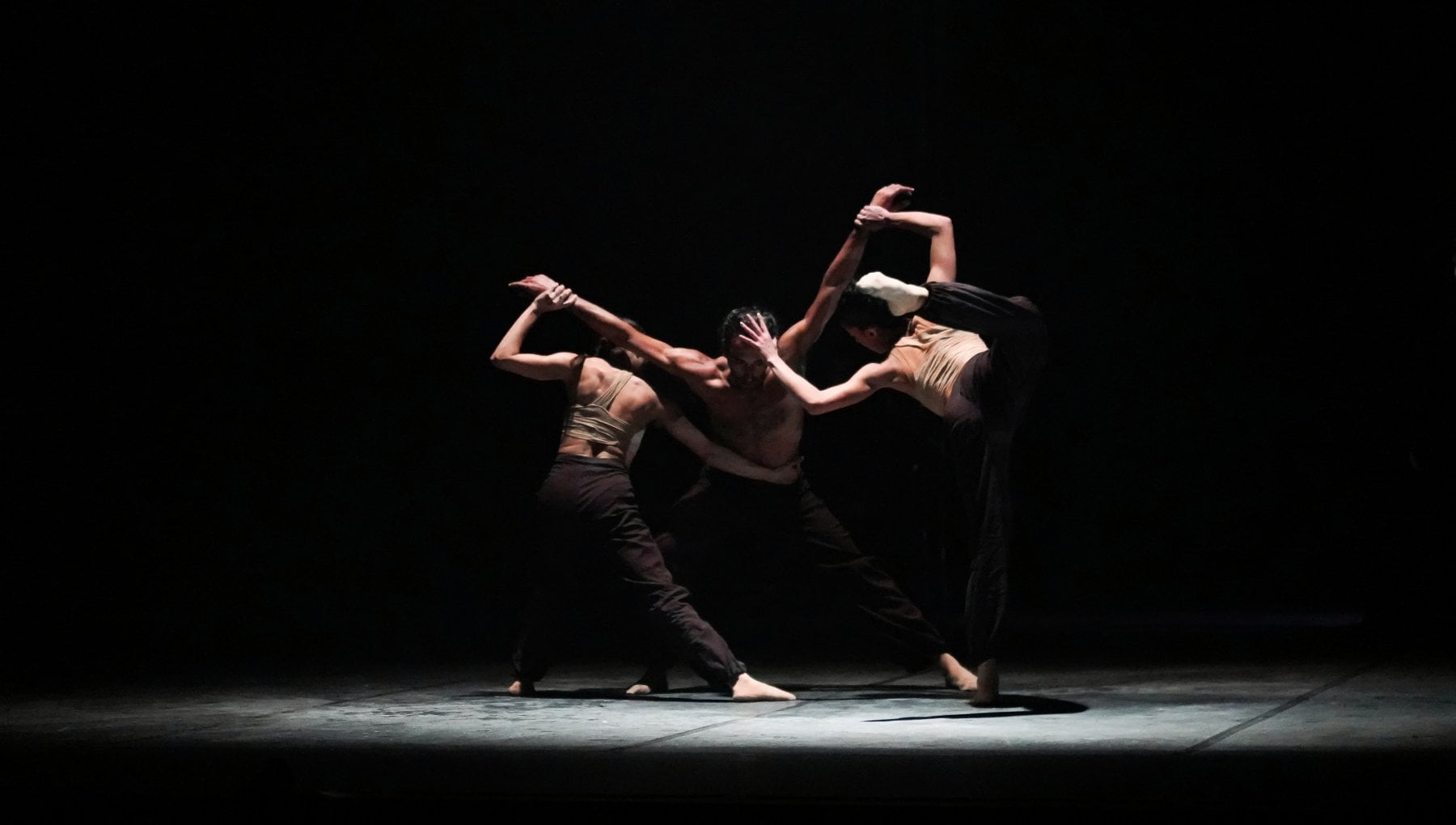 Aterballetto, la vittoria della danza: con 'Double side' si sdoppia ...