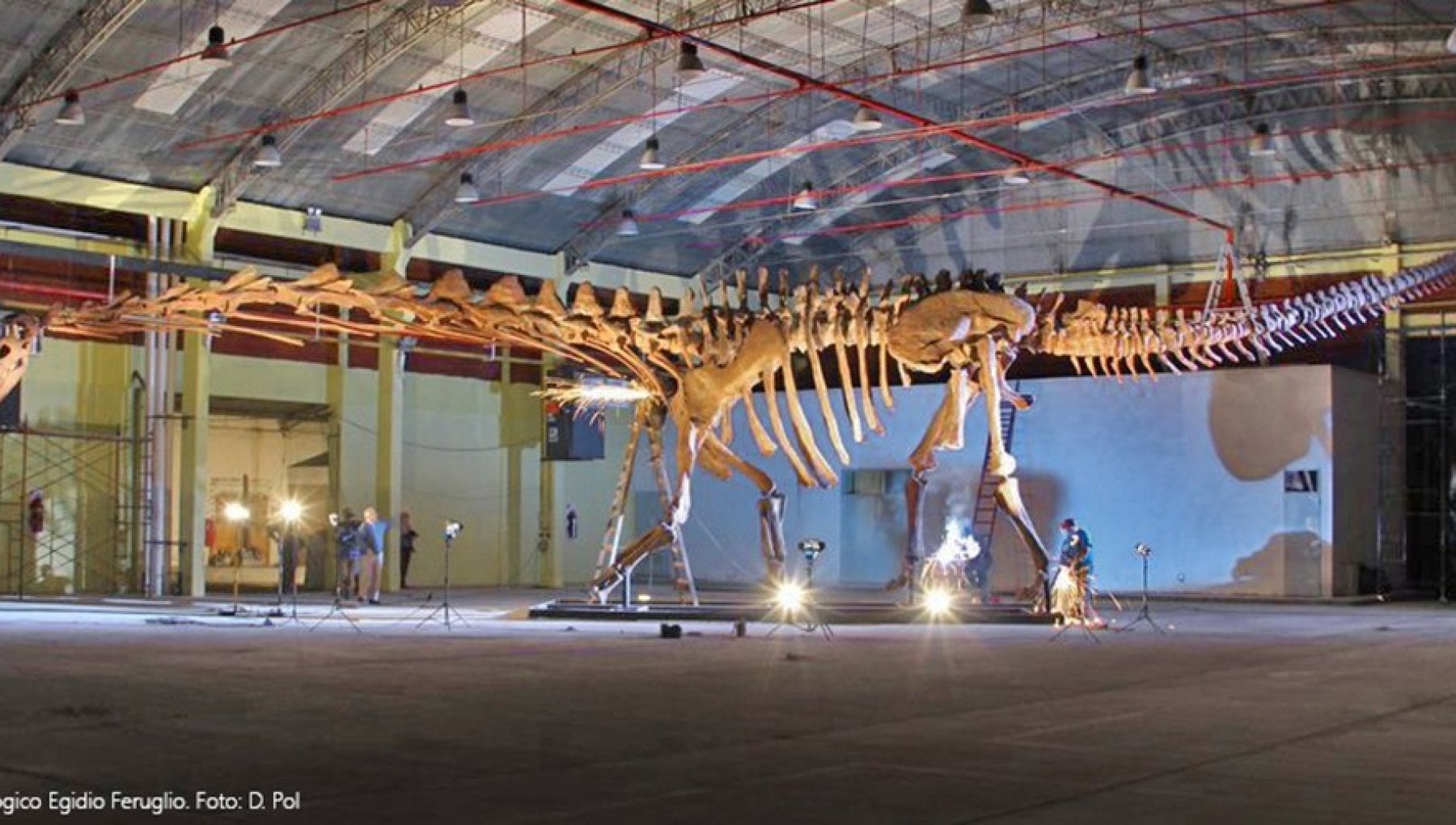 In mostra a Londra Patagotitan il titanosauro, una delle più grandi ...