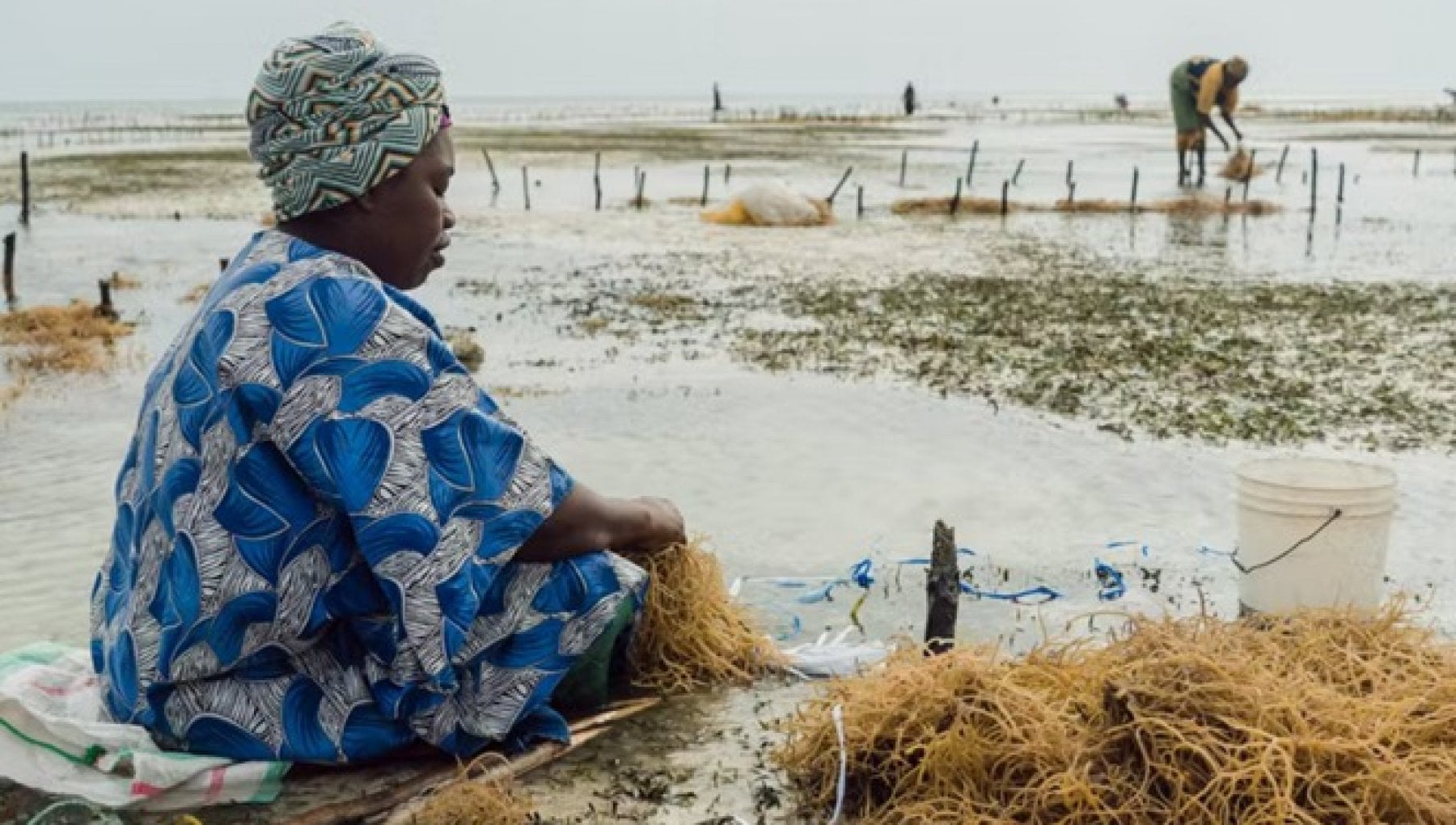 Cambiamenti climatici, gli effetti dannosi sulla salute riproduttiva ...
