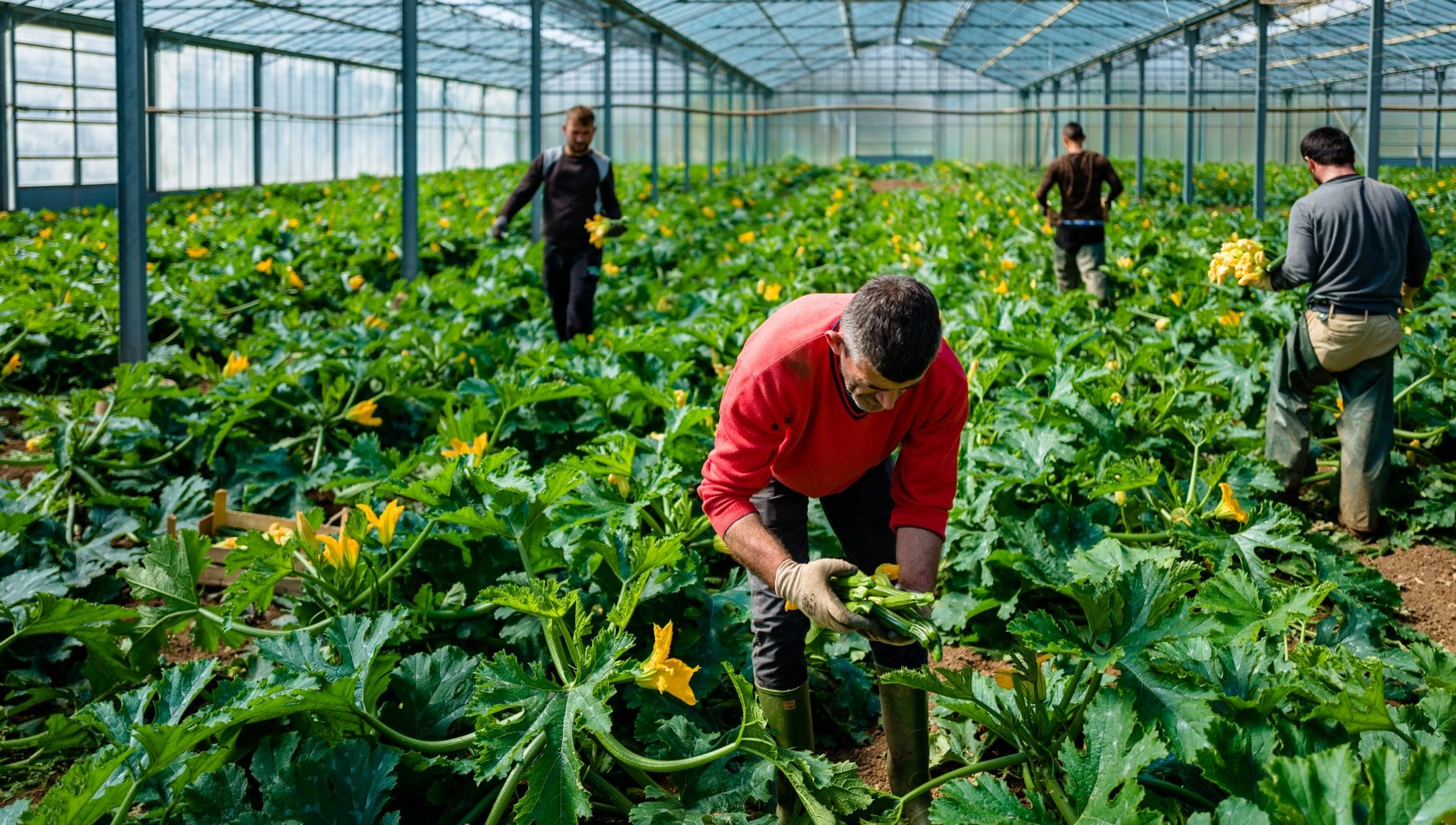 Tra vino e cibi vola all’estero l’agroalimentare made in Italy - la ...