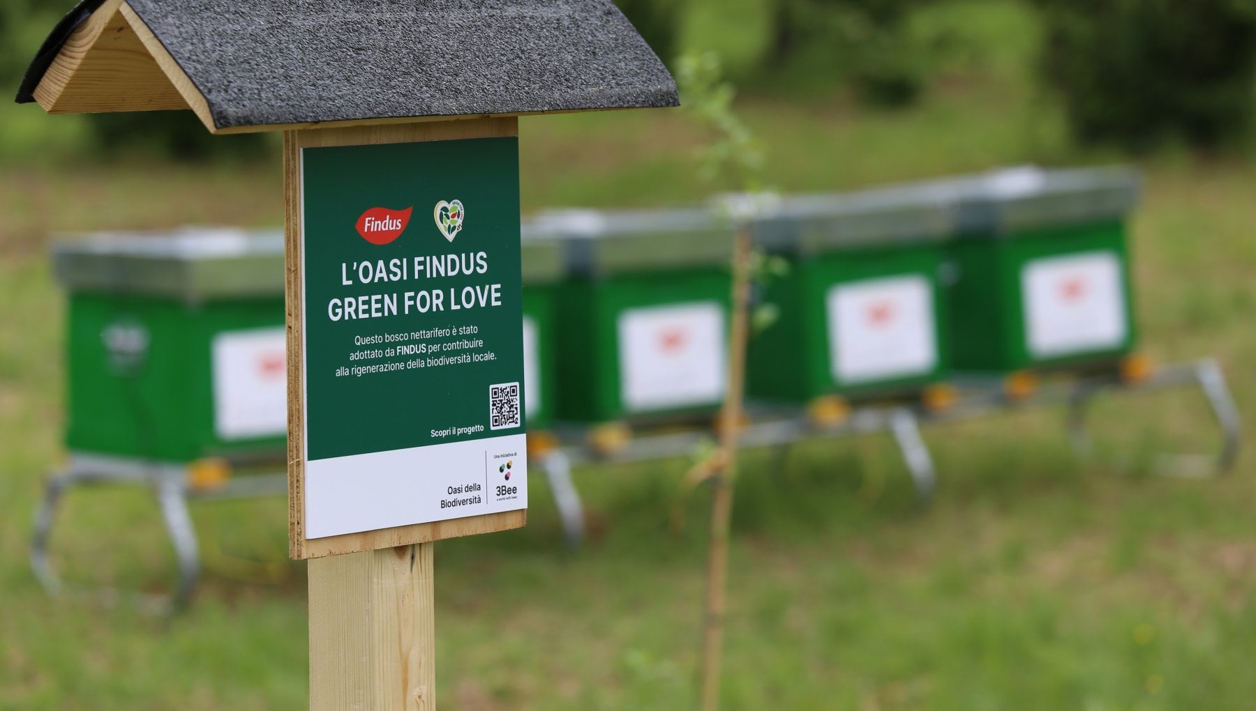 Findus presenta il manifesto "Green for Love" per un futuro più ...