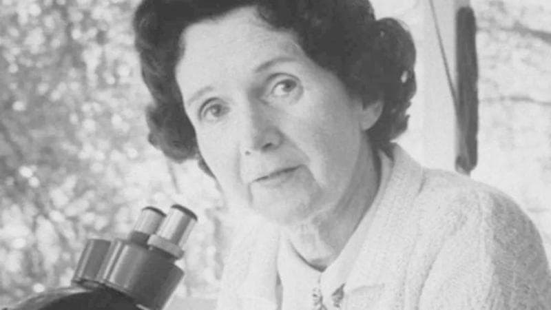 I guardiani della Terra: Rachel Carson, la nemica dell’insetticida - la ...