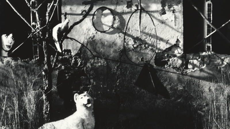 Una mostra di Mario Giacomelli per i vent’anni di Mufoco, il museo ...