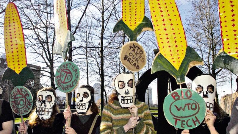 Seattle: cosa resta del sogno - la Repubblica