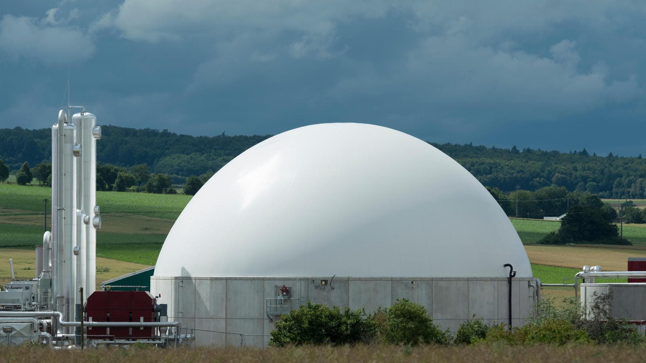 Pika Energy, la piattaforma per il biometano al femminile per una ...