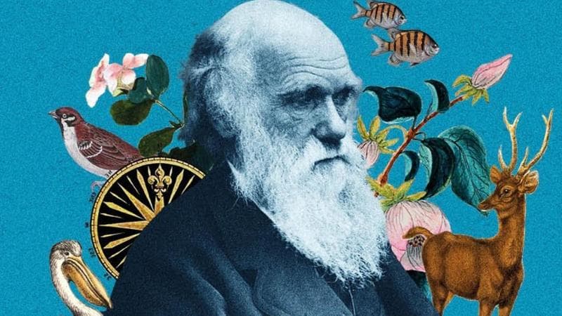 Darwin Day, il giorno giusto per riscoprire la sua storia e le sue ...