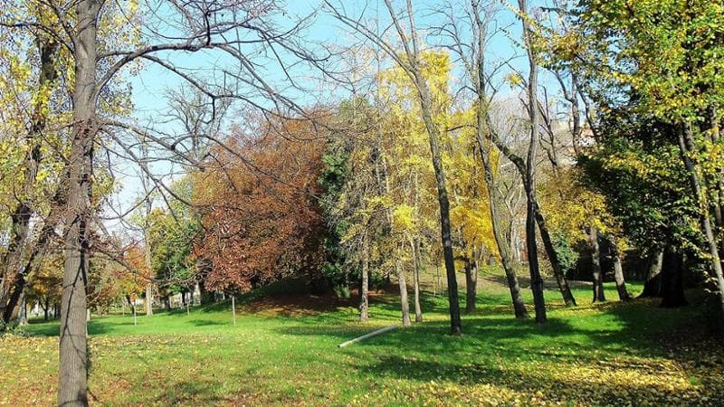 Gorla: il fascino nascosto di un quartiere storico di Milano - la ...