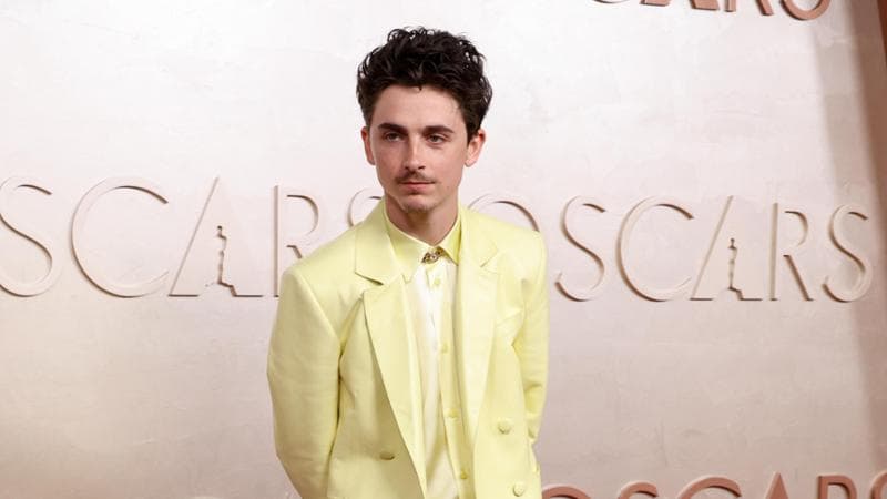 Timothée Chalamet vince il David Speciale. La star di Hollywood sarà a ...