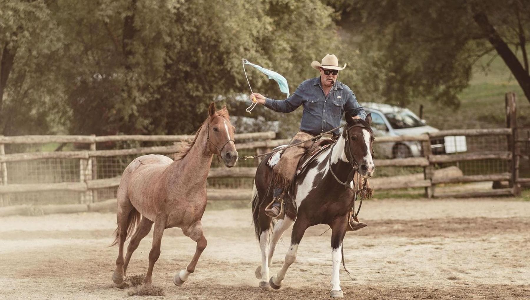 Fieracavalli apre le porte allo spettacolo del dressage - la Repubblica