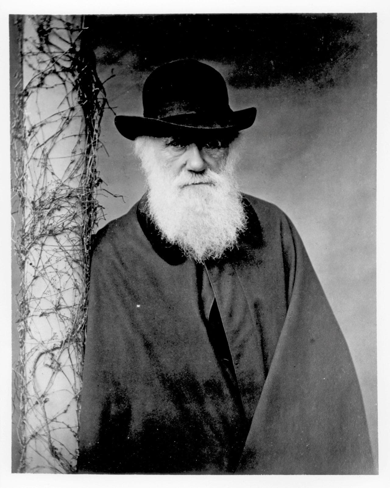 David Quammen: “Darwin è il nemico pubblico di questa America” - la ...