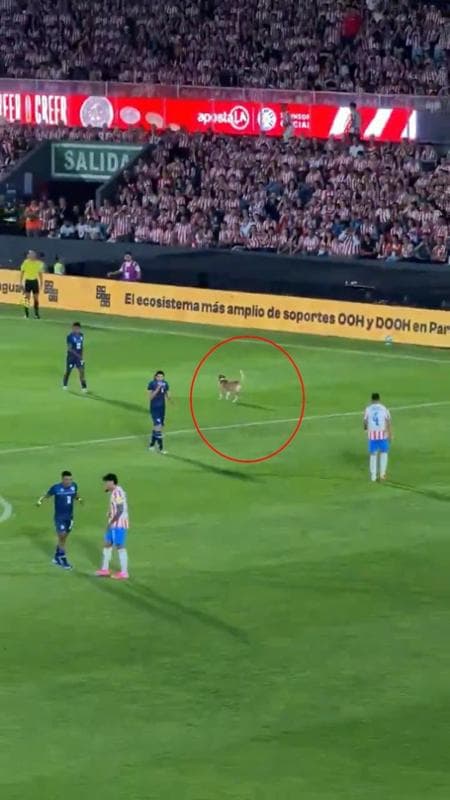 L’ex senatore D'Alì non deve risarcire lo Stato per danno d'immagine ...