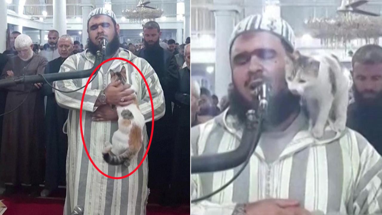 Sorpresa durante la preghiera del Ramadan: un gatto sale sulle spalle ...