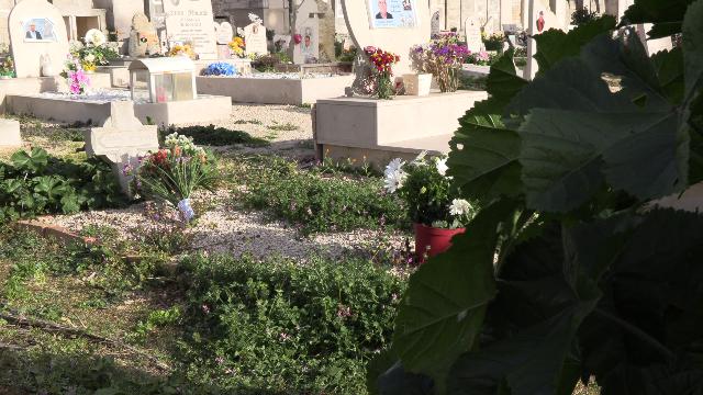 Tesfom, il giovane poeta migrante che morì dopo lo sbarco. La Treccani ...