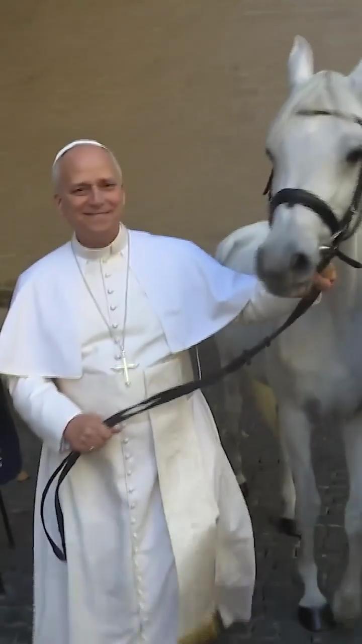 Vaticano, donato a Papa Leone un cavallo bianco di pura razza araba ...