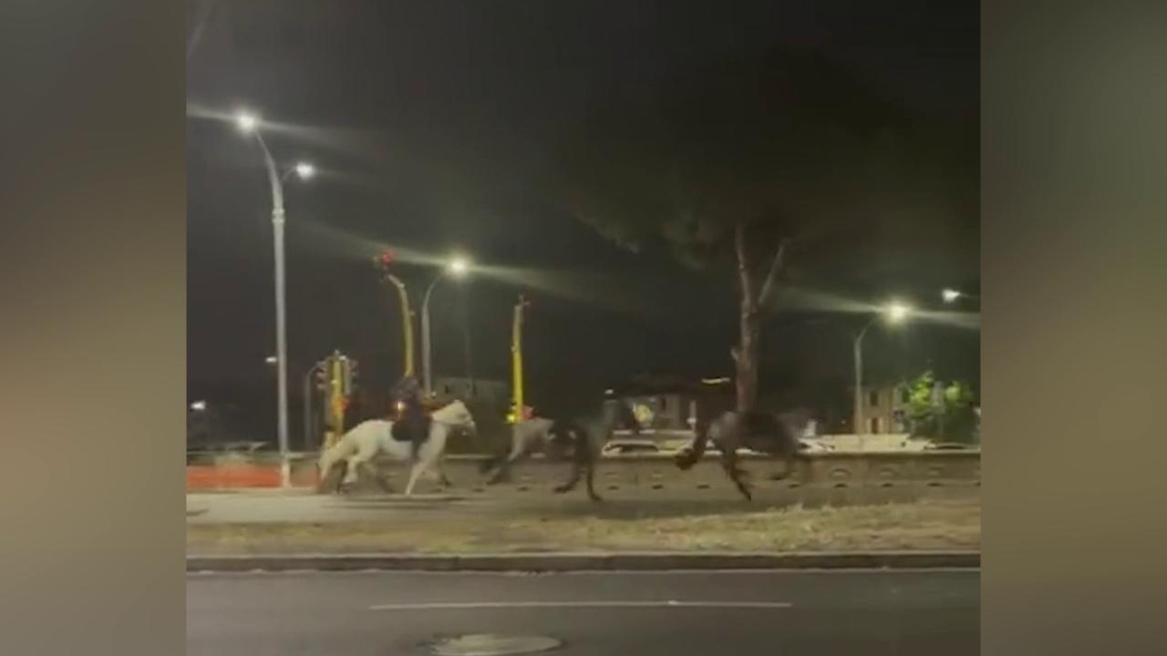 Il padre di Andrea Delogu: “Evan per lei era come un figlio. Non beveva ...